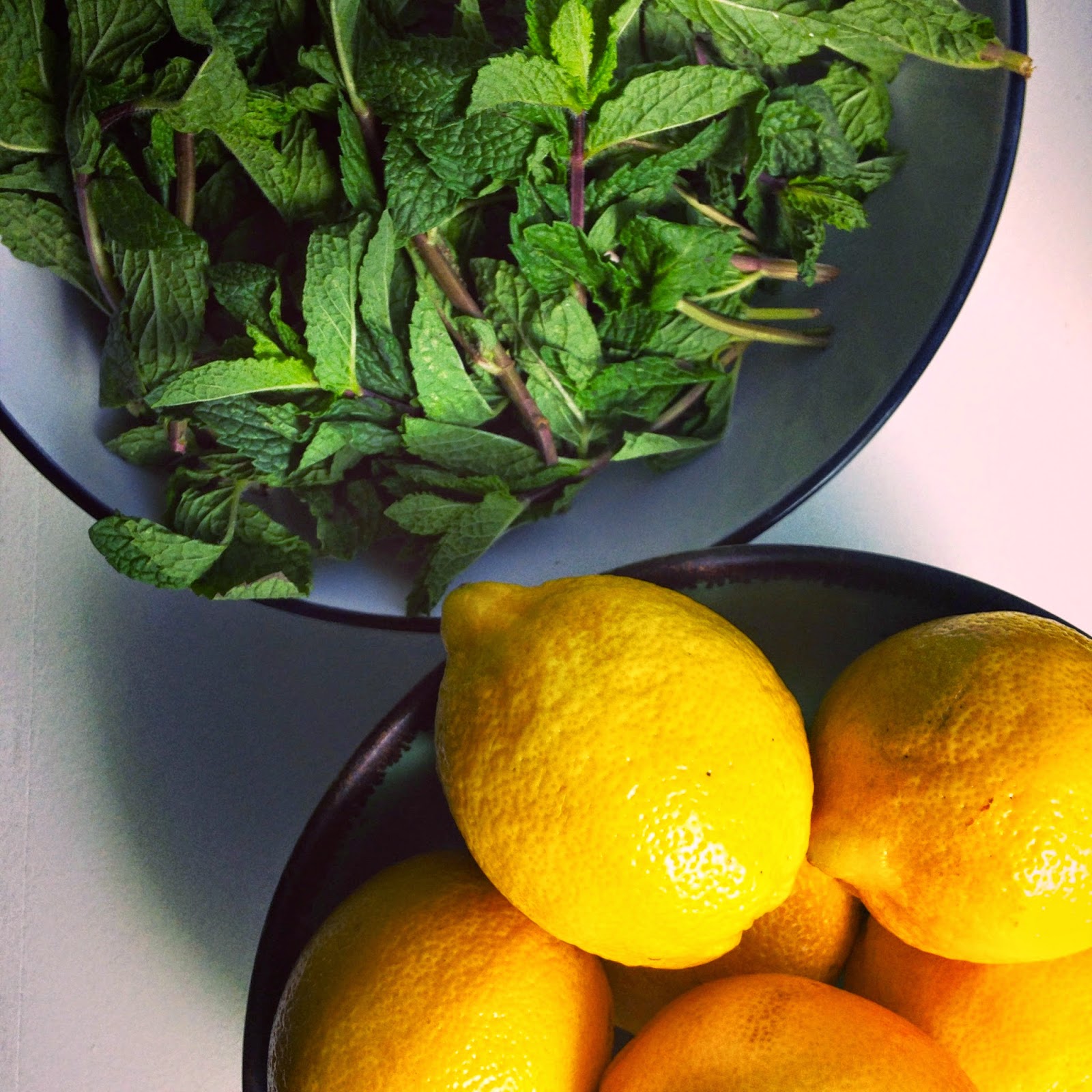 lovesmiths: The Taste of a Place: Lemon Mint Drink